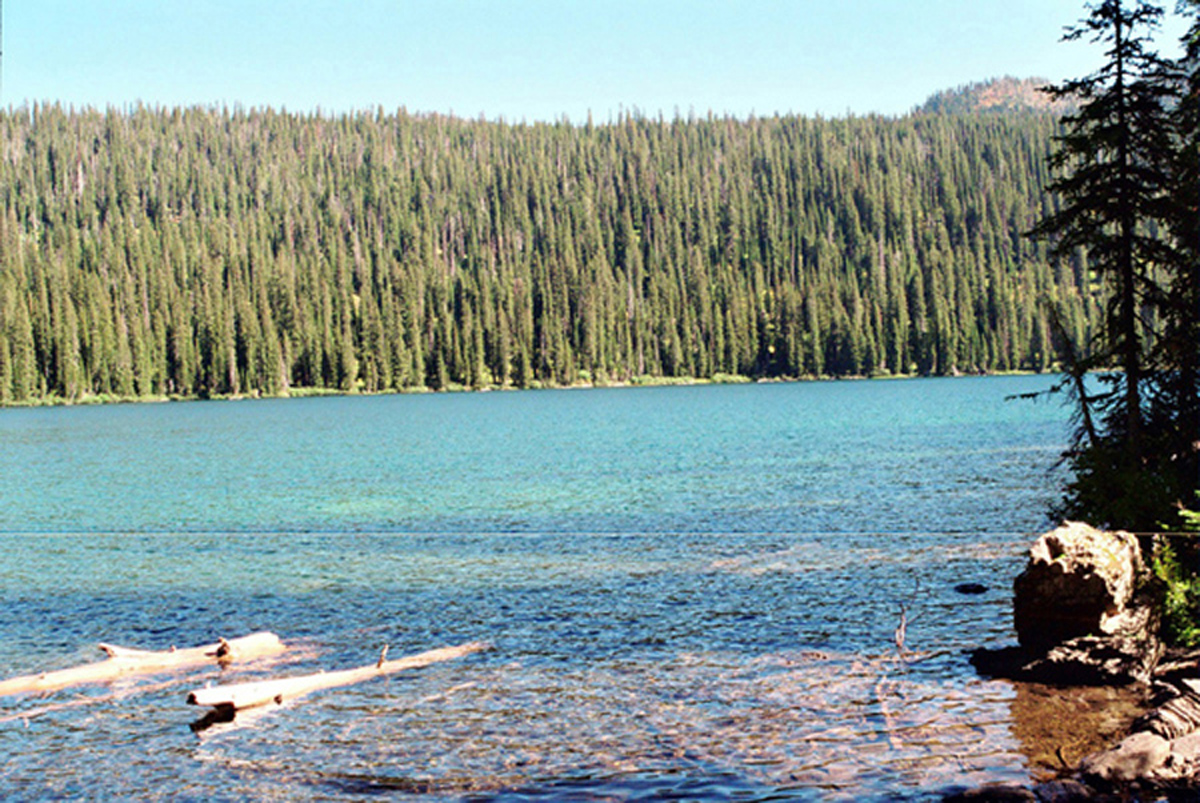 Image Big_Therriault_Lake_(2_2).jpg | Species - Diatoms of North America